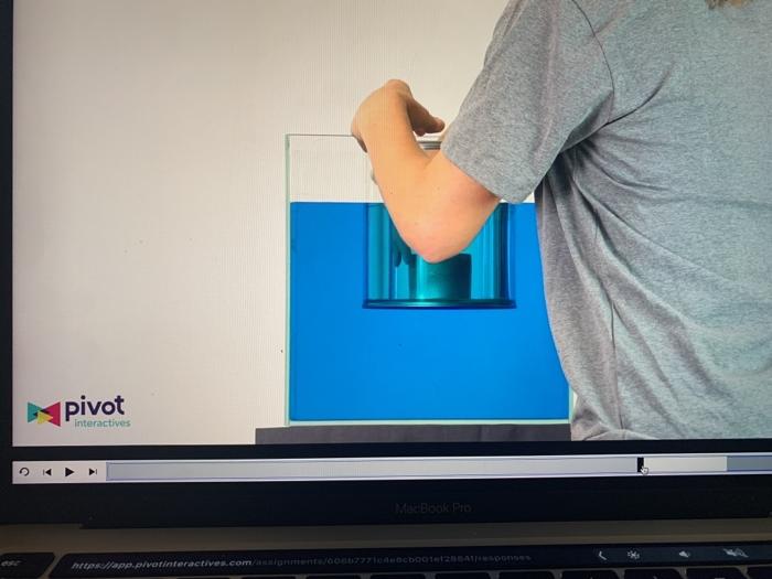 Solved pivot Interactives mo/09/votinteractives.com FOST | Chegg.com