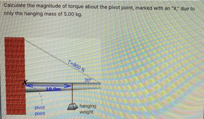 Solved Calculate the magnitude of torque about the pivot | Chegg.com