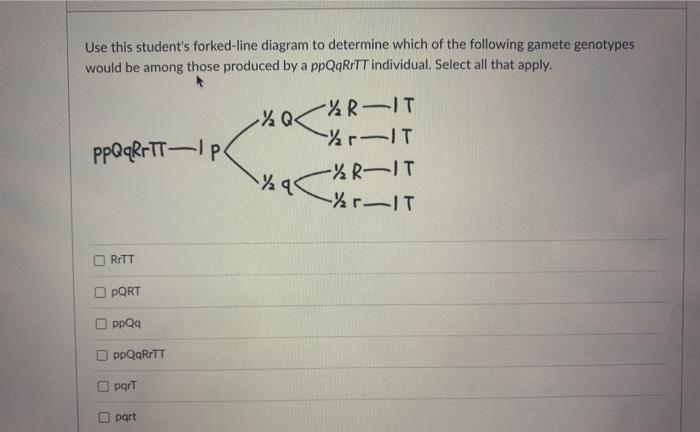 Solved Use this student's forked-line diagram to determine | Chegg.com