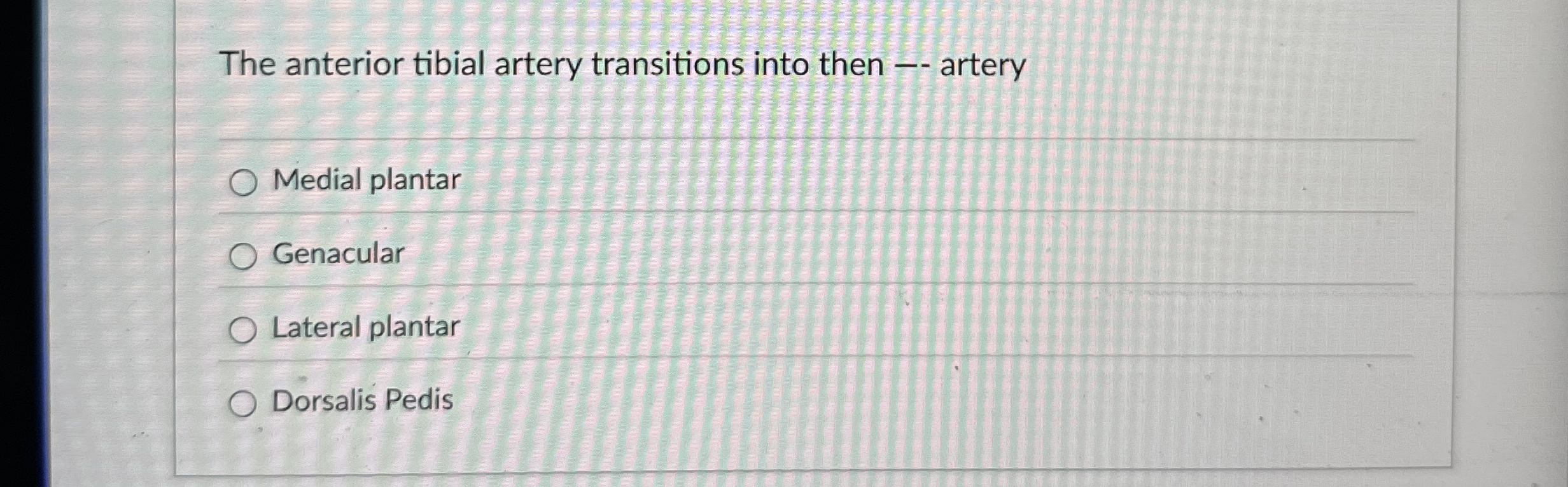 Solved The anterior tibial artery transitions into then -- | Chegg.com