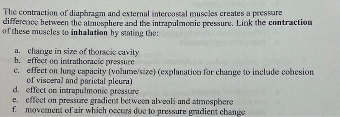 Solved The contraction of diaphragm and external intercostal | Chegg.com