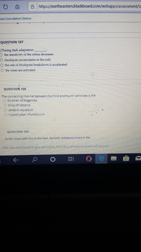 Solved estion Completion Status: QUESTION 113 The layer of | Chegg.com Solved estion Completion Status: QUESTION 113 The layer of | Chegg.com