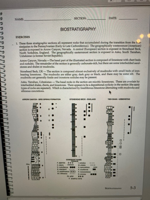 Solved NAME: SECTION: DATE: BIOSTRATIGRAPHY EXERCISES 1. | Chegg.com