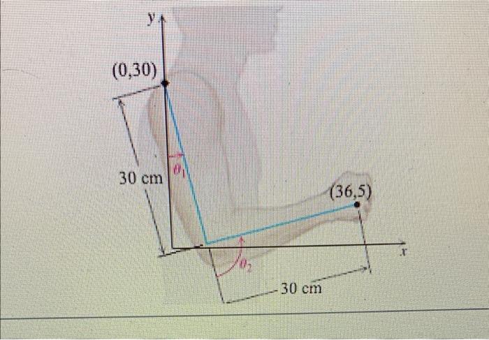 Solved A human arm consists of an upper arm of 30 cm and a | Chegg.com