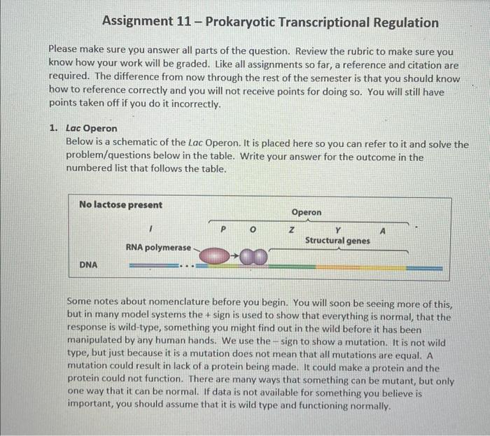Solved Assignment 11 - Prokaryotic Transcriptional | Chegg.com