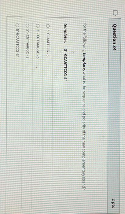 Solved Question 34 for the following template, what is the | Chegg.com
