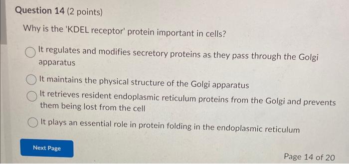 Solved Why is the 'KDEL receptor' protein important in | Chegg.com