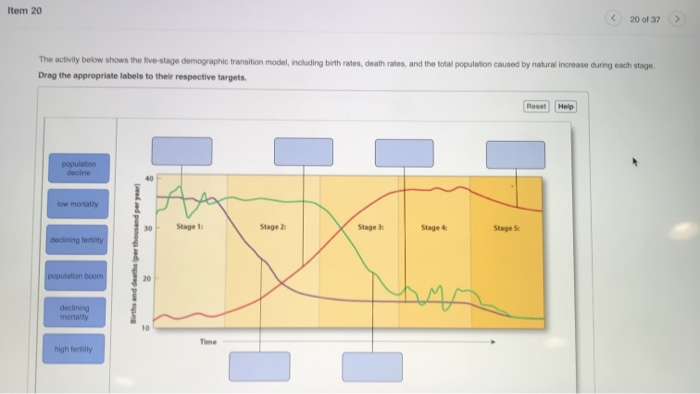 Solved Item 20 20 of 37 The activity below shows the | Chegg.com