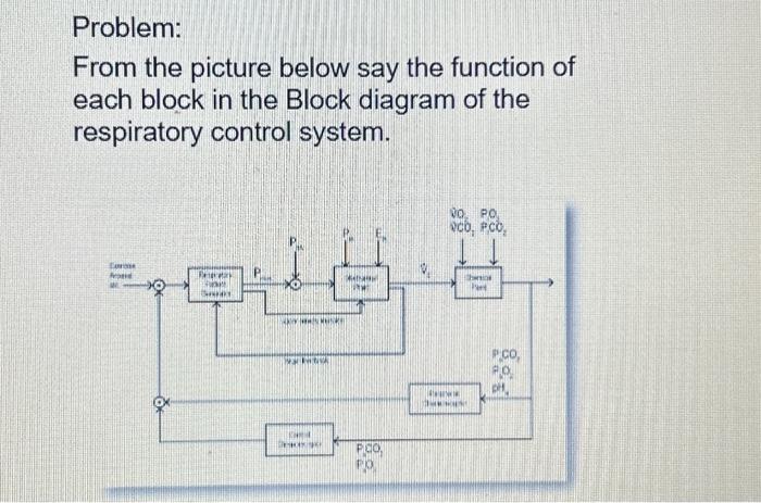 Solved Problem: From the picture below say the function of | Chegg.com