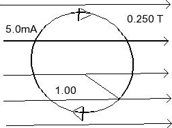 Solved A single circular loop of radius 1.00 m carries a | Chegg.com