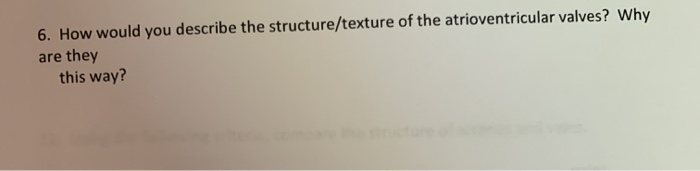 Solved 6. How would you describe the structure/texture of | Chegg.com