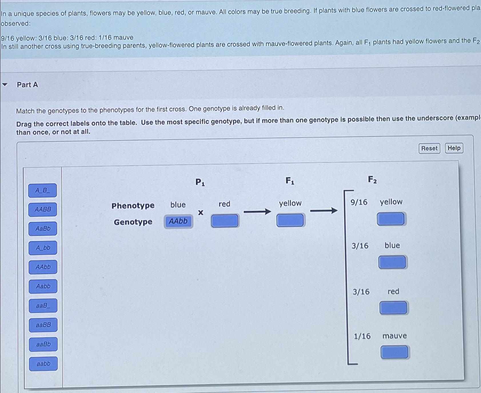 Solved In a unique species of plants, flowers may be yellow, | Chegg.com