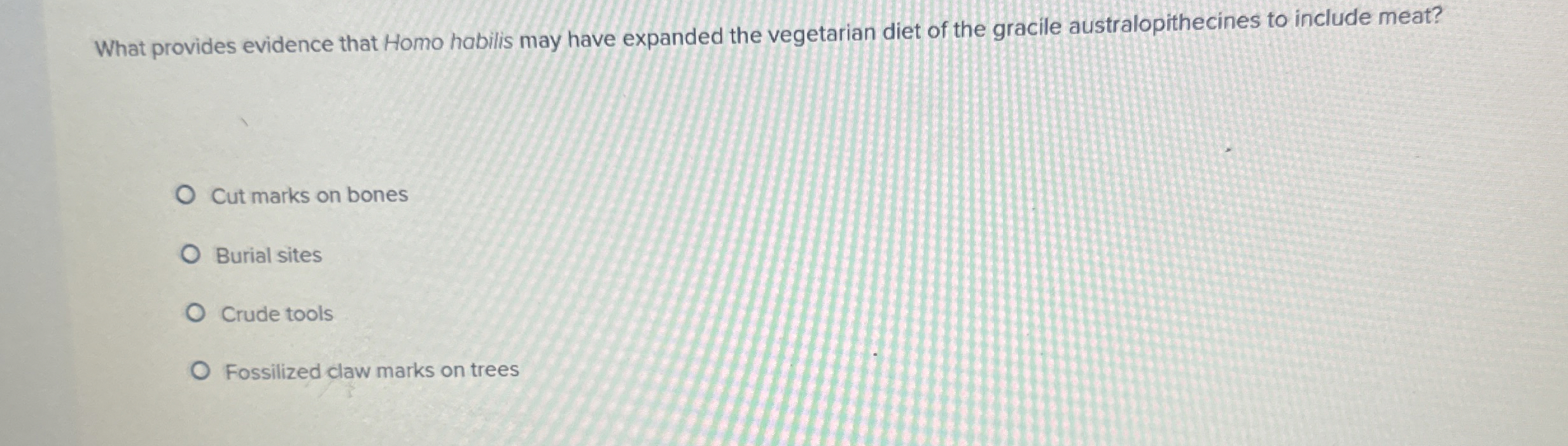 Solved What provides evidence that Homo habilis may have | Chegg.com