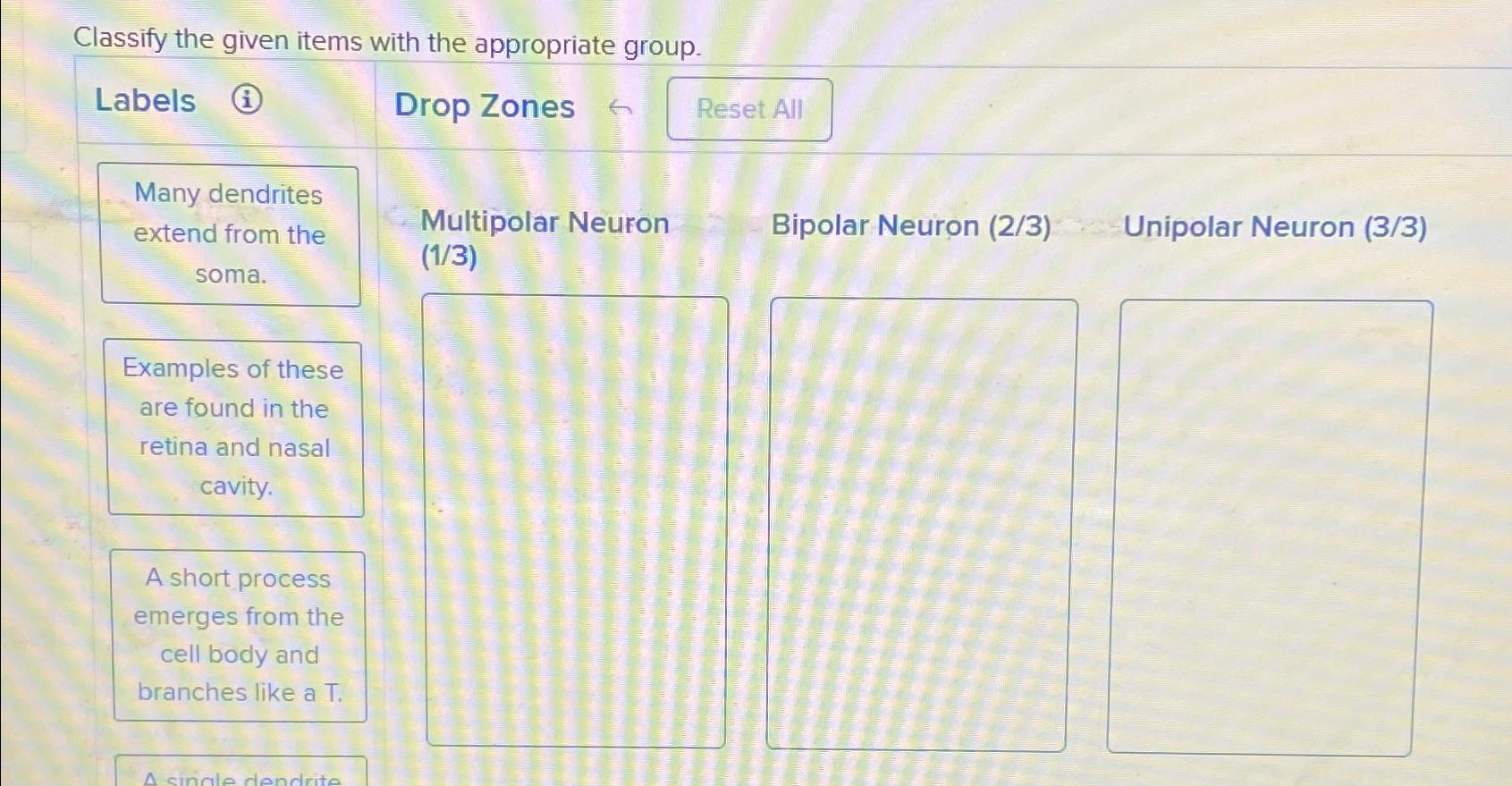 Solved Classify the given items with the appropriate | Chegg.com