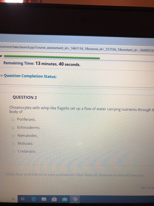 Solved essment/take/launch.jsp?course | Chegg.com