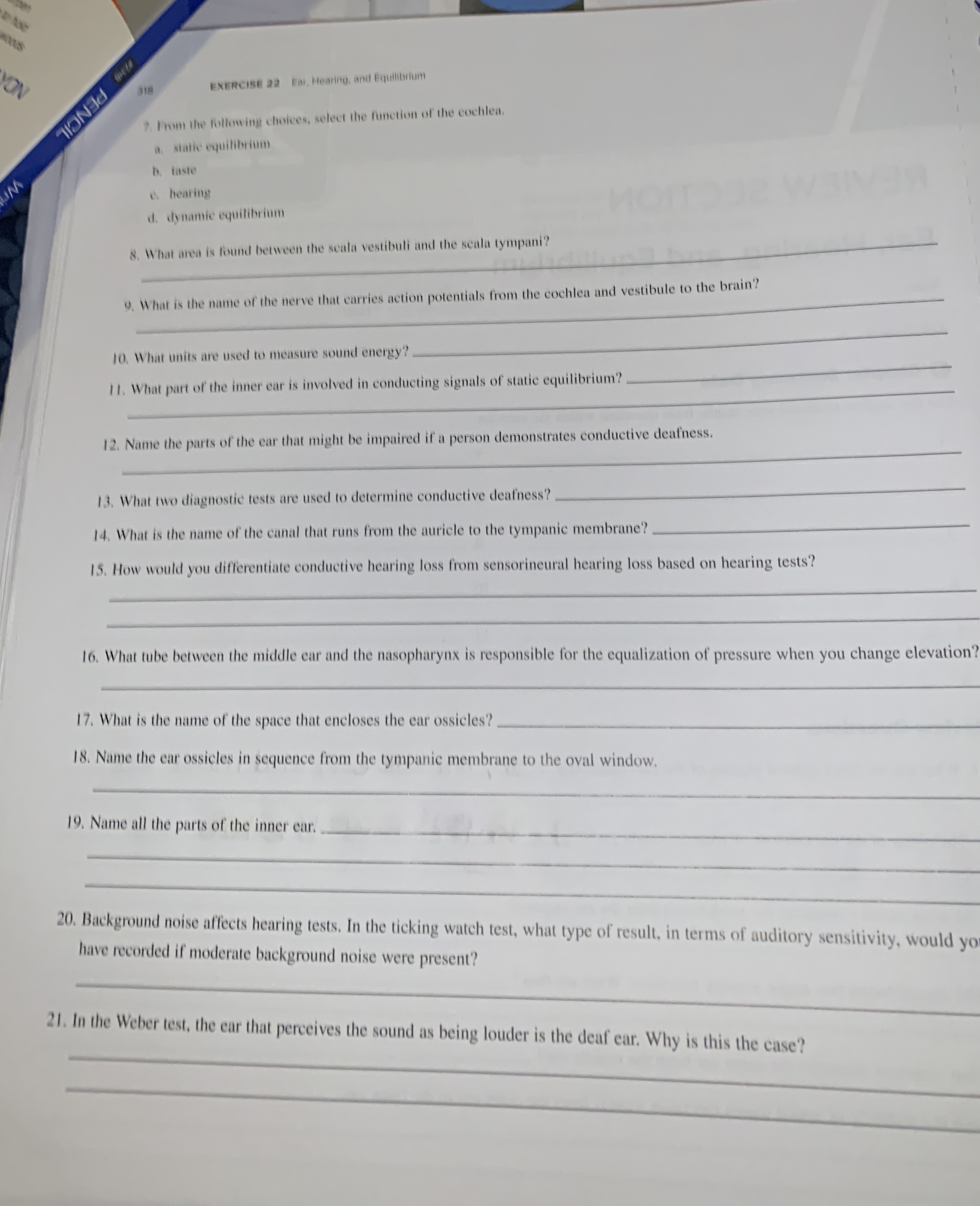 Solved EXERCISE 22 ﻿Ear, Hearing, and Equilibrium7. ﻿Immin | Chegg.com