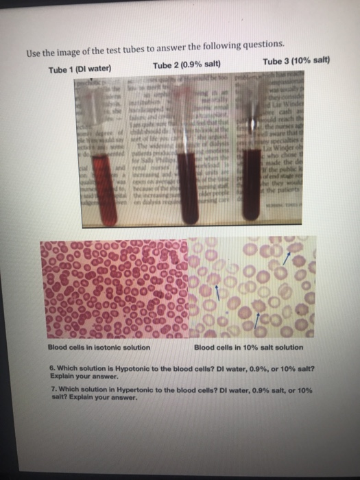 Solved Use the image of the test tubes to answer the | Chegg.com