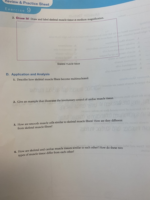 Solved Review & Practice Sheet Exercise 9 2. Draw It! Draw | Chegg.com