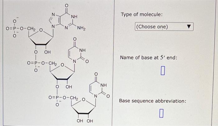 Solved For each molecule in the table below: - Classify the | Chegg.com