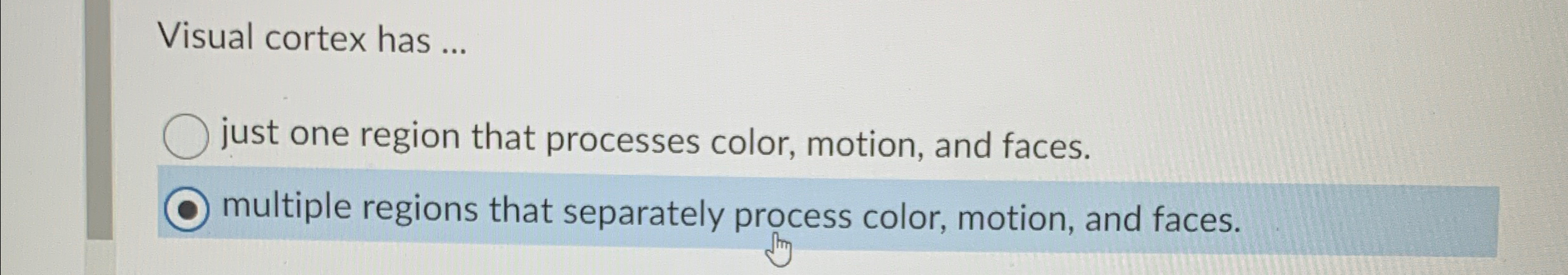 Solved Visual cortex has ..just one region that processes | Chegg.com