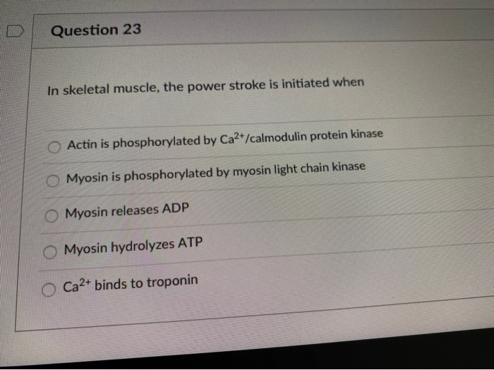 Solved Question 23 In skeletal muscle, the power stroke is | Chegg.com