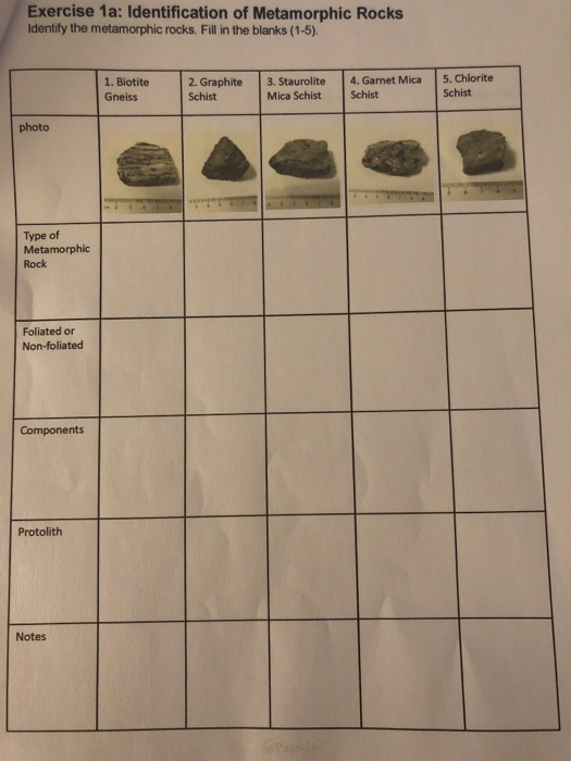 Solved Exercise 1a: Identification of Metamorphic Rocks | Chegg.com