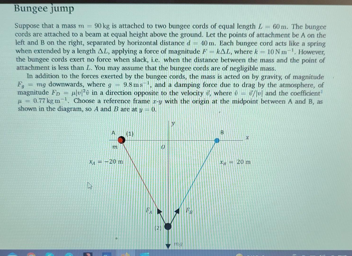 Solved Bungee jump Suppose that a mass m = 90 kg is attached | Chegg.com