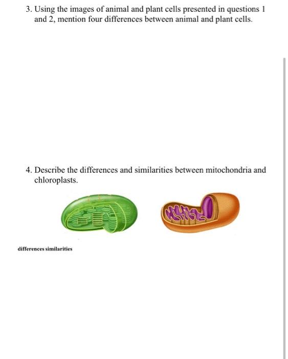 Solved Homework 2 1. Label ten organelles of the animal cell | Chegg.com