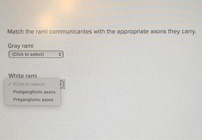 Solved Match the rami communicantes with the appropriate | Chegg.com