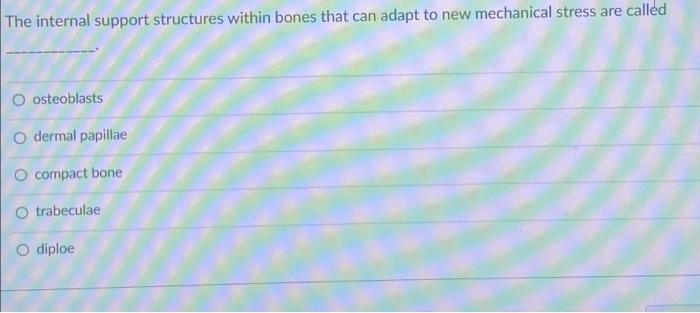 Solved The internal support structures within bones that can | Chegg.com