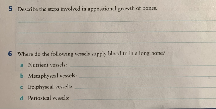 Solved 5 Describe the steps involved in appositional growth | Chegg.com