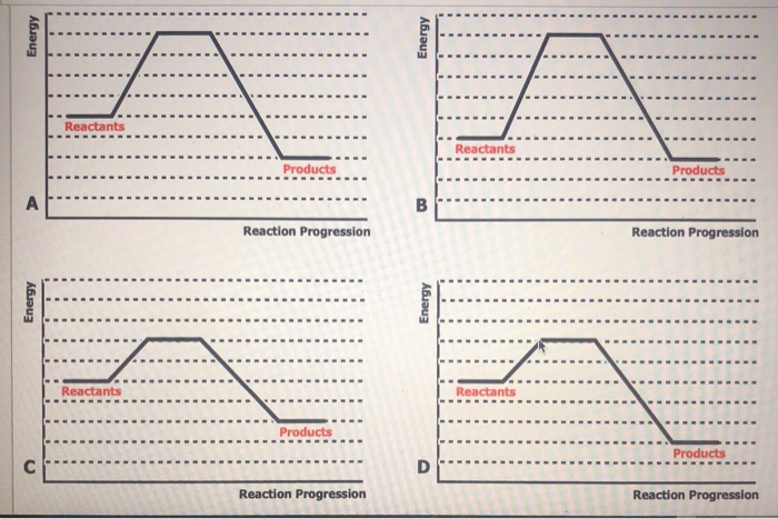 Solved Energy Energy Reactants Reactants Products Products | Chegg.com