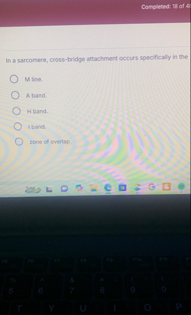 Solved Completed: 18 ﻿of 41In a sarcomere, cross-bridge | Chegg.com