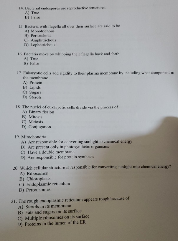 Solved 14. Bacterial endospores are reproductive structures. | Chegg.com