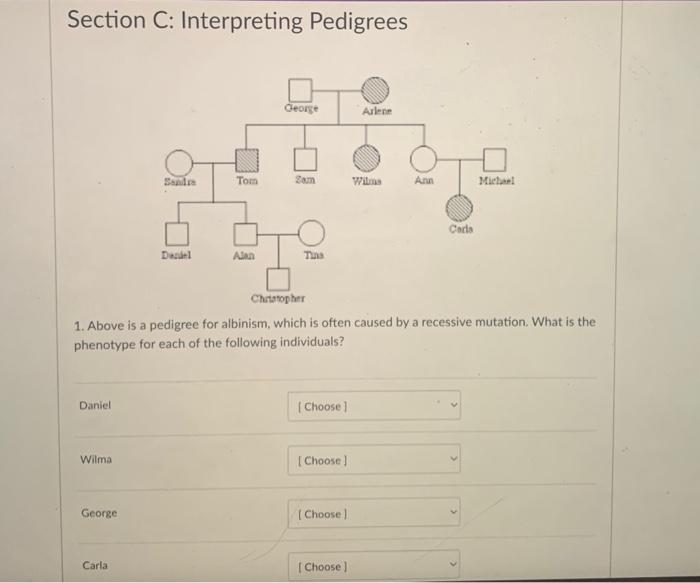 Solved Section C: Interpreting Pedigrees 1. Above is a | Chegg.com