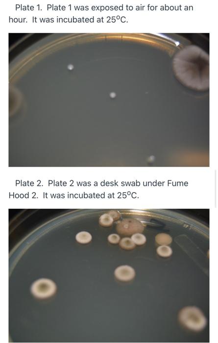 Solved Name Date Lab Section DATA SHEET 2-1 I was present | Chegg.com