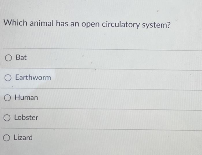 Solved Which animal has an open circulatory system? Bat O | Chegg.com