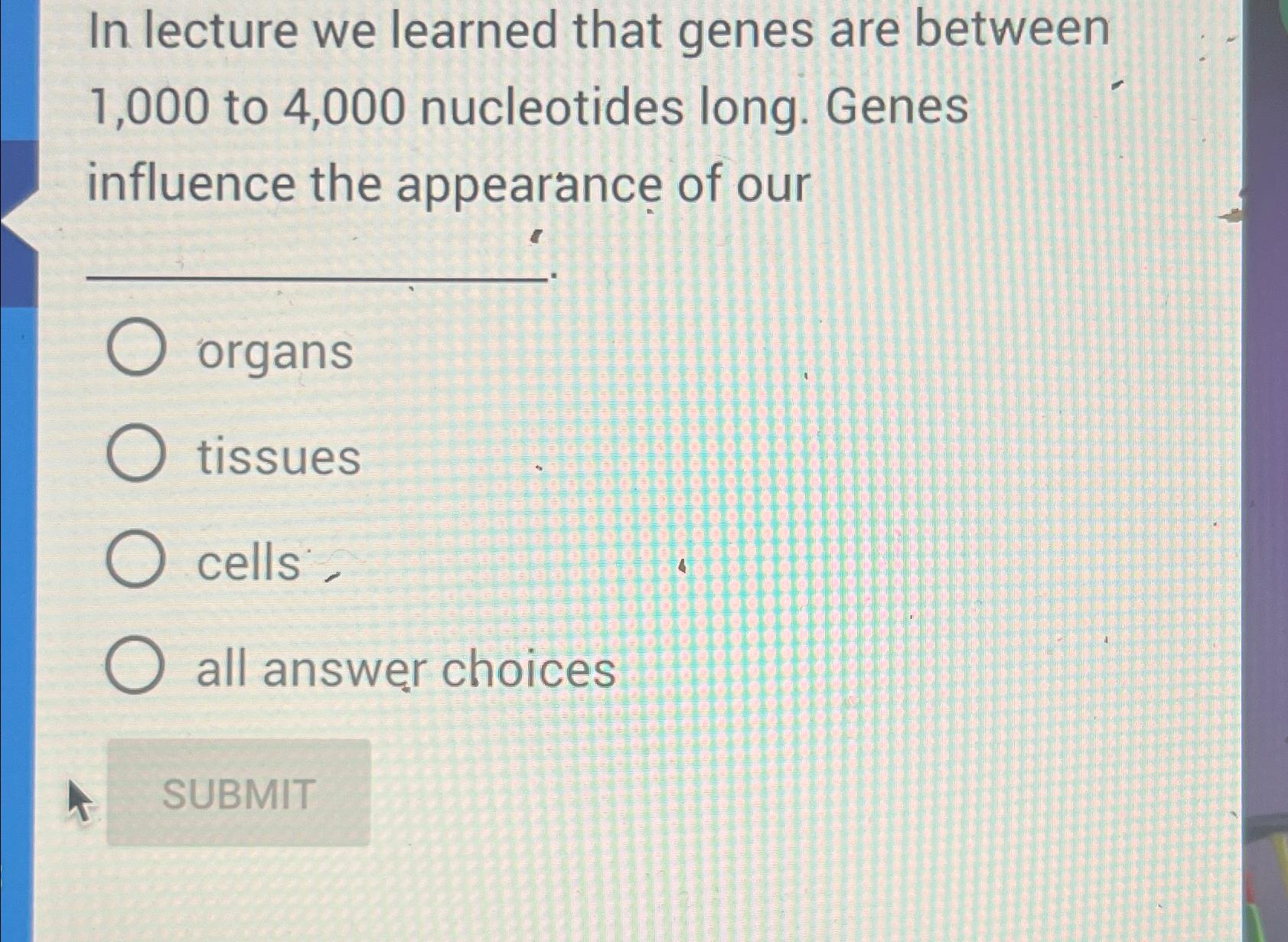 Solved In lecture we learned that genes are between 1,000 | Chegg.com