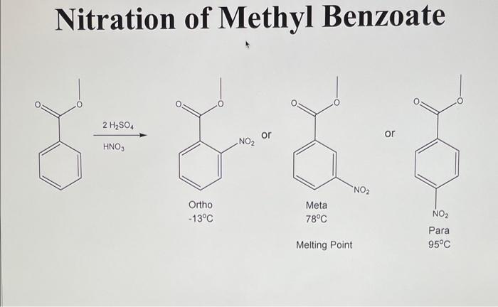 Solved Nitration of Methy Benzoate | Chegg.com