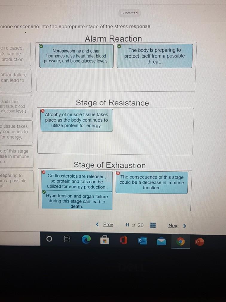 Solved Submitted mone or scenario into the appropriate stage | Chegg.com