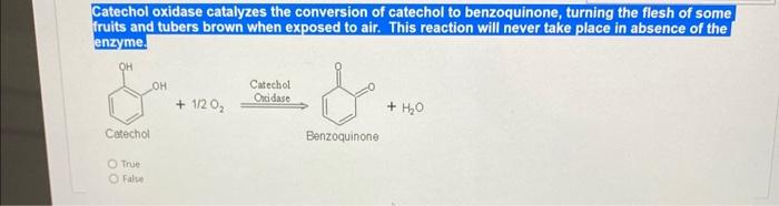Solved Catechol oxidase catalyzes the conversion of catechol | Chegg.com