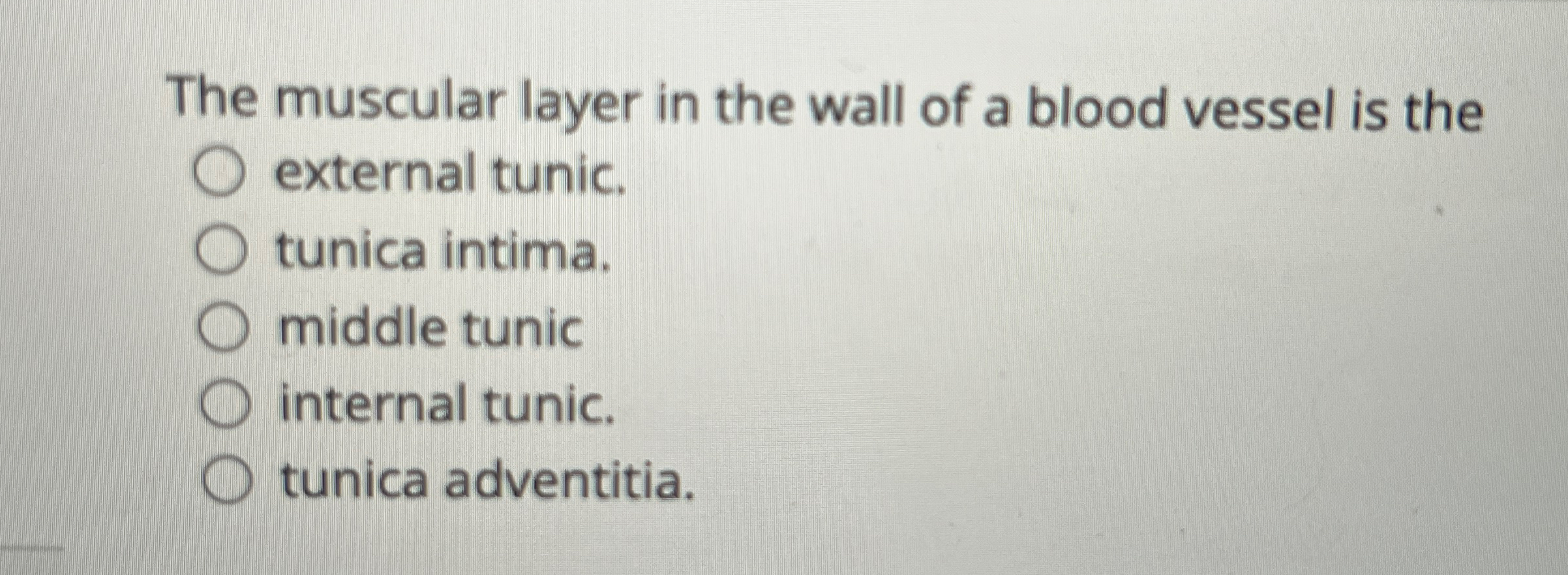 Solved The muscular layer in the wall of a blood vessel is | Chegg.com