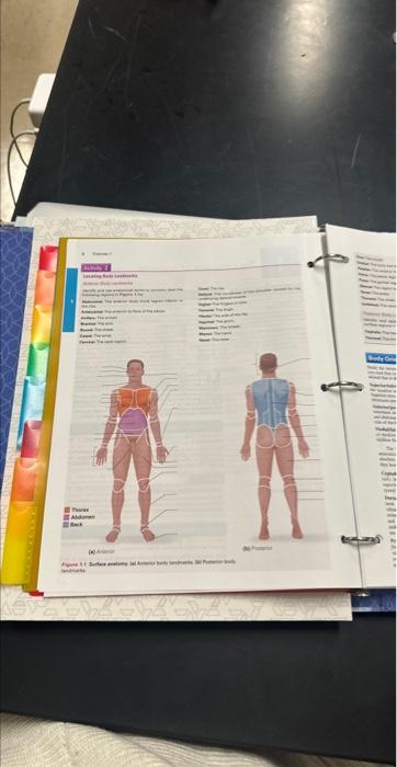 Solved complete this please | Chegg.com