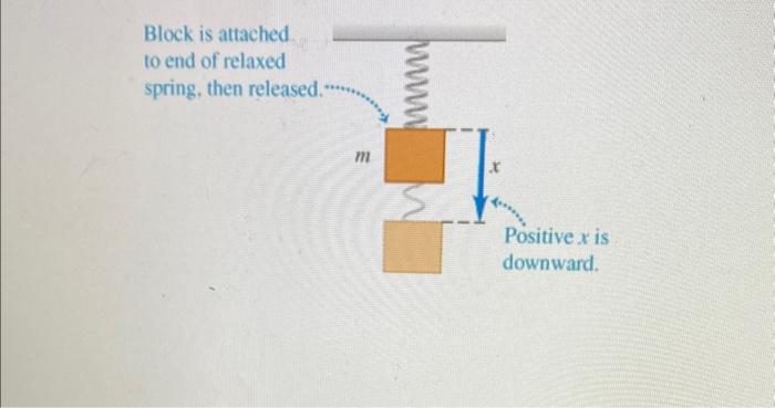 Solved Consider a hanging spring of negligible mass that | Chegg.com