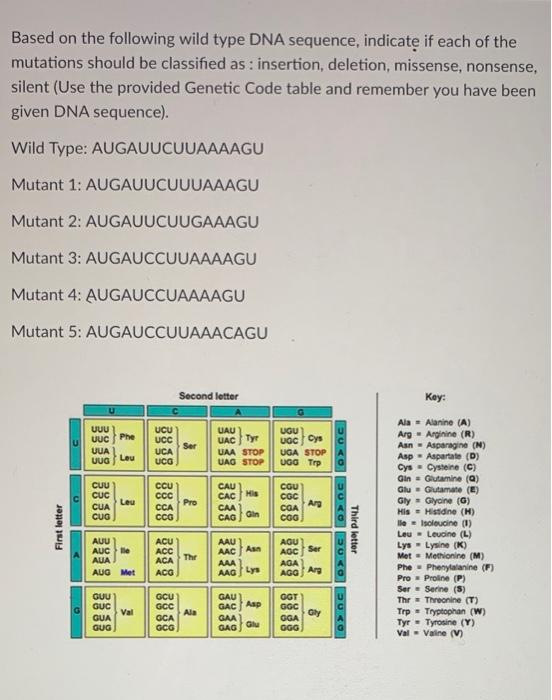 Solved Based on the following wild type DNA sequence, | Chegg.com