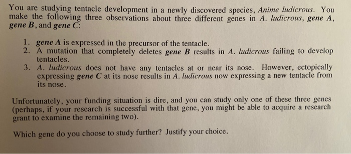 Solved You are studying tentacle development in a newly | Chegg.com