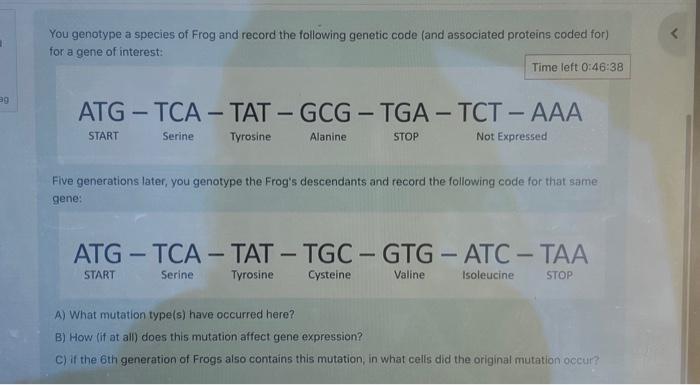 Solved You genotype a species of Frog and record the | Chegg.com