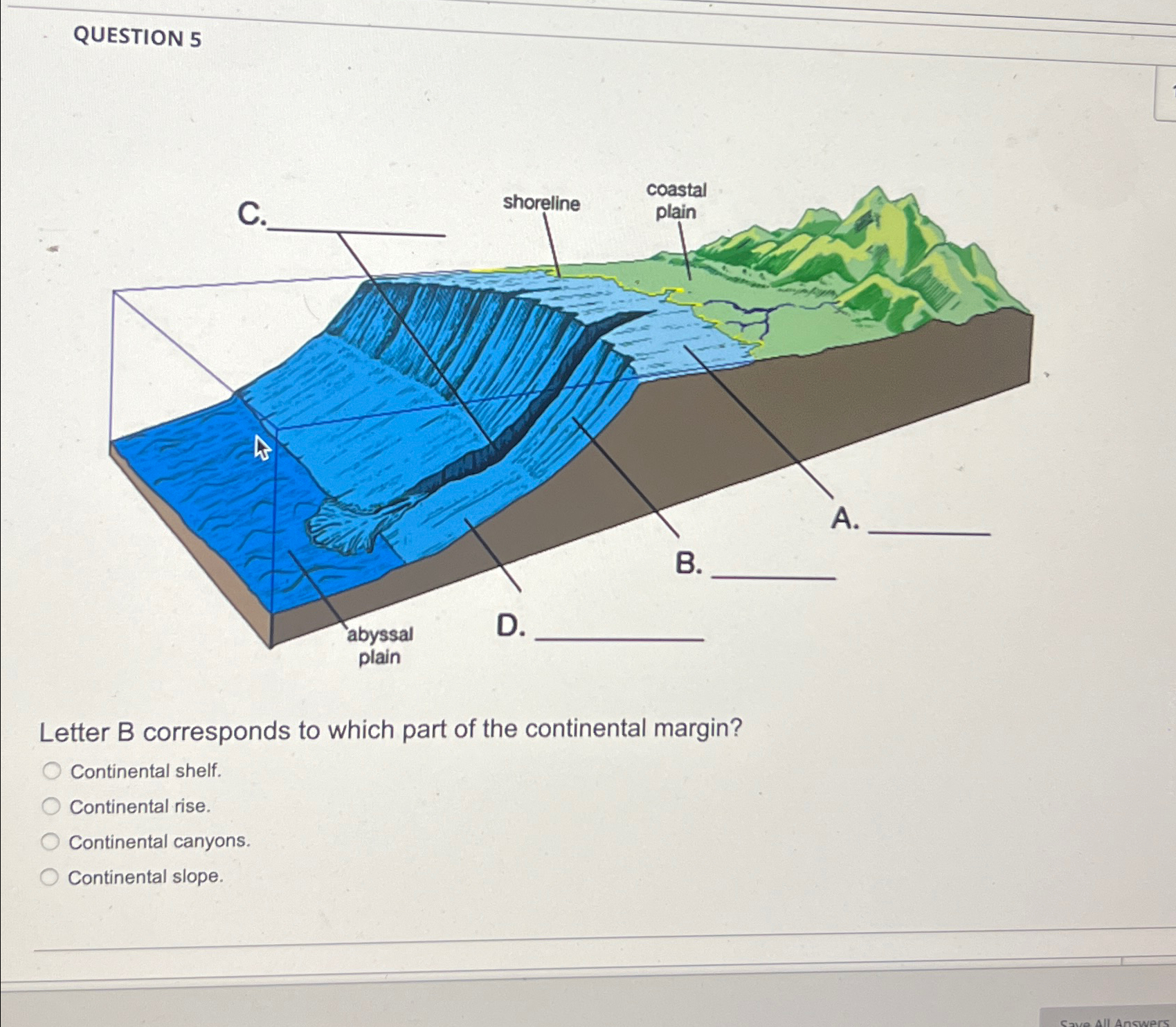 Solved QUESTION 5Letter B corresponds to which part of the | Chegg.com