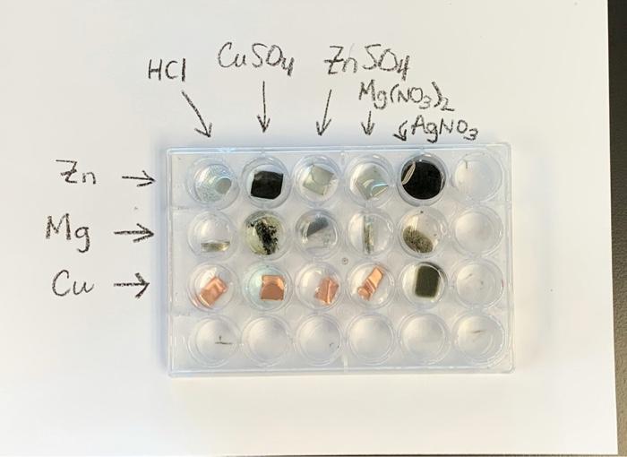 Solved SINGLE AND DOUBLE DISPLACEMENT REACTIONS PROCEDURE, | Chegg.com