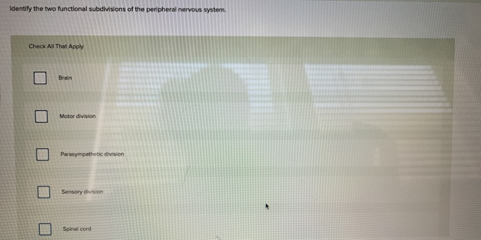 Solved Identify the two functional subdivisions of the | Chegg.com
